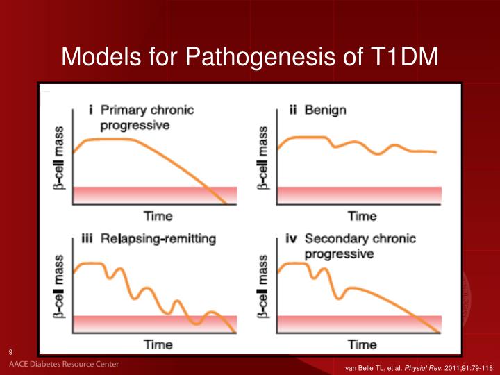 PPT - Pathophysiology of Type 1 Diabetes PowerPoint Presentation - ID ...