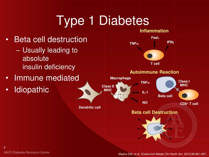 Ppt Pathophysiology Of Type 1 Diabetes Powerpoint Presentation Id