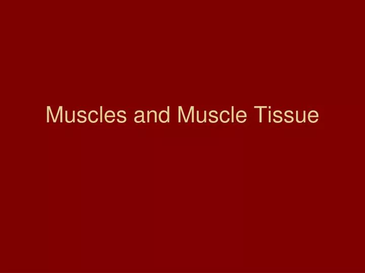 PPT - Muscles and Muscle Tissue PowerPoint Presentation, free download ...
