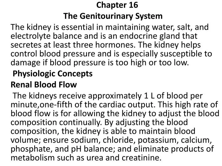 PPT - Chapter 16 The Genitourinary System PowerPoint Presentation, free ...