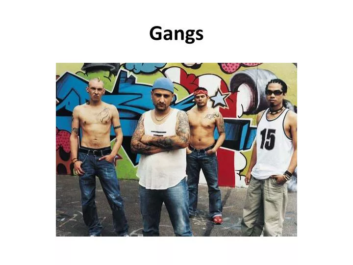 PPT - Gangs PowerPoint Presentation, free download - ID:2221481
