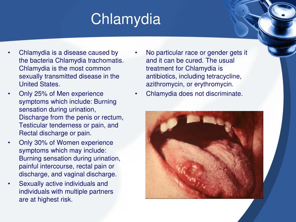 PPT - Male and Female Reproductive Systems PowerPoint Presentation ...
