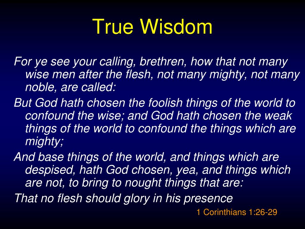 PPT - A Walk Through the Bible With Bro. Bill Parker PowerPoint ...