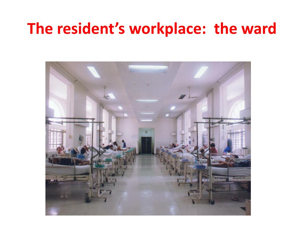 PPT - Leadership & Professionalism: Practical Tools in the Workplace ...