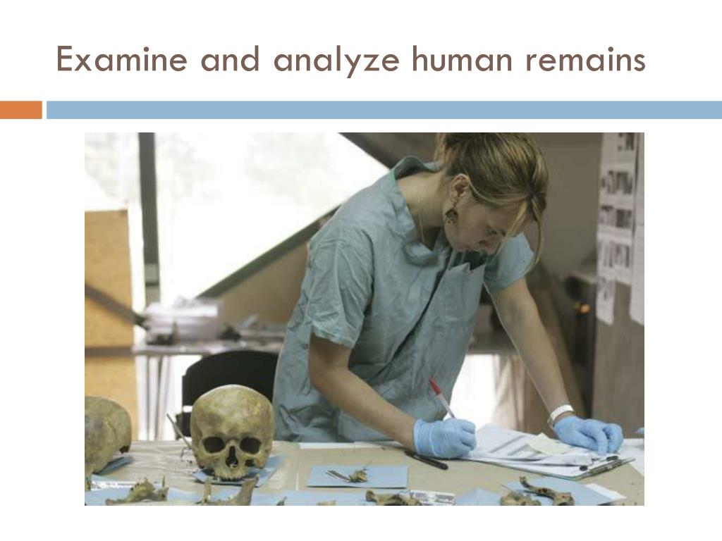 Ppt Chapter 14 Human Remains Powerpoint Presentation Free Download