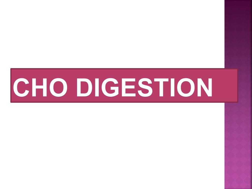 PPT - CHO METABOLISM BY Dr. Naglaa Ibrahim Azab Assistant professor of ...
