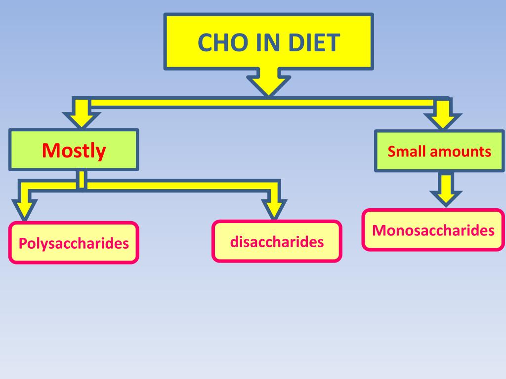 PPT - CHO METABOLISM BY Dr. Naglaa Ibrahim Azab Assistant professor of ...