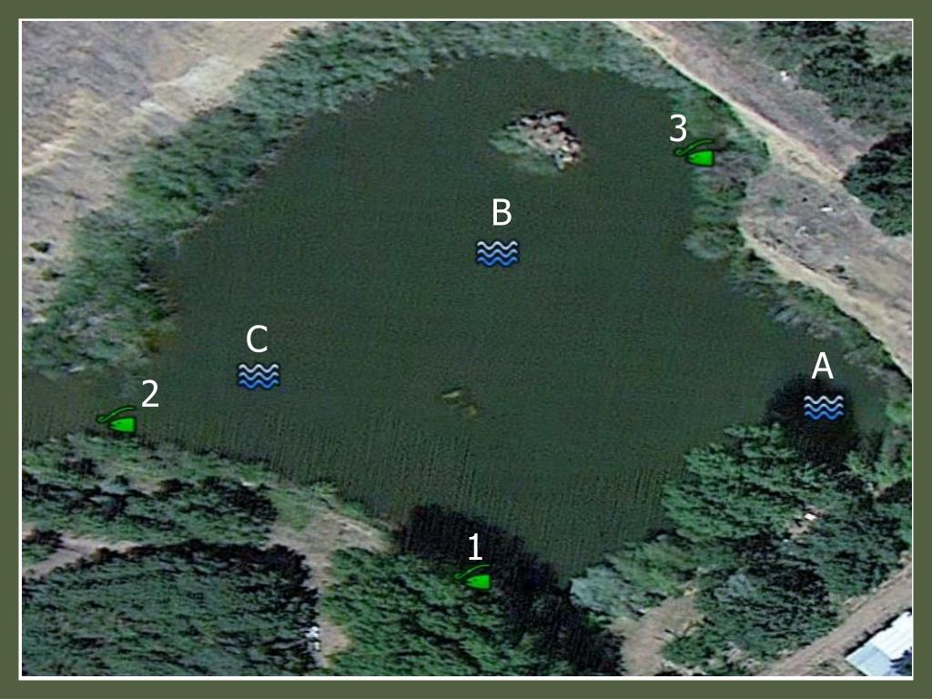 PPT - Sierra Cantrell, Ron Irvin, Elizabeth Ng, John Tjaden University ...