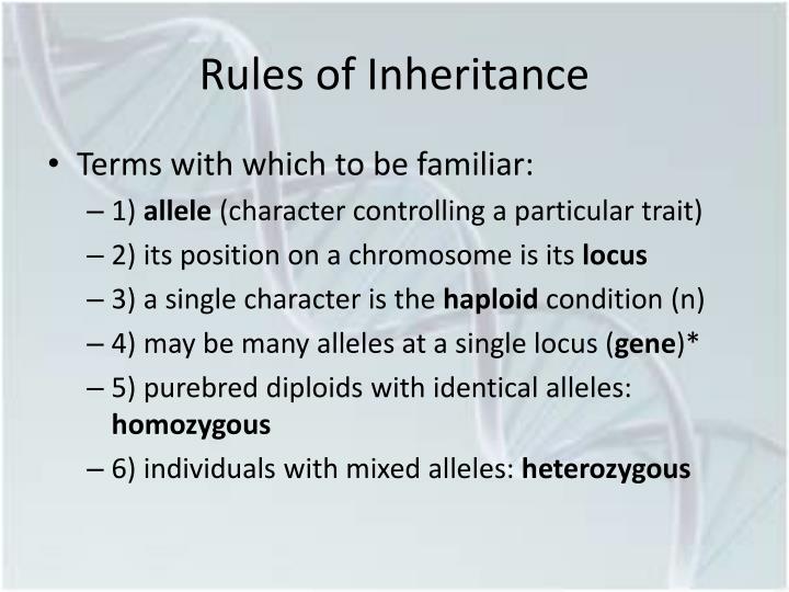 PPT - Rules of Inheritance PowerPoint Presentation - ID:2224197