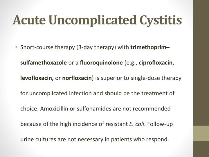 PPT - Urinary Tract Infections (UTIs) and Prostatitis PowerPoint ...