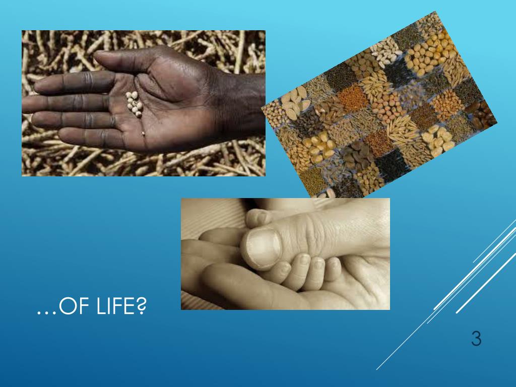 PPT - ANXIETY AND DEPRESSION Thinking SEEDS feeling SEEDS doing SEEDS ...