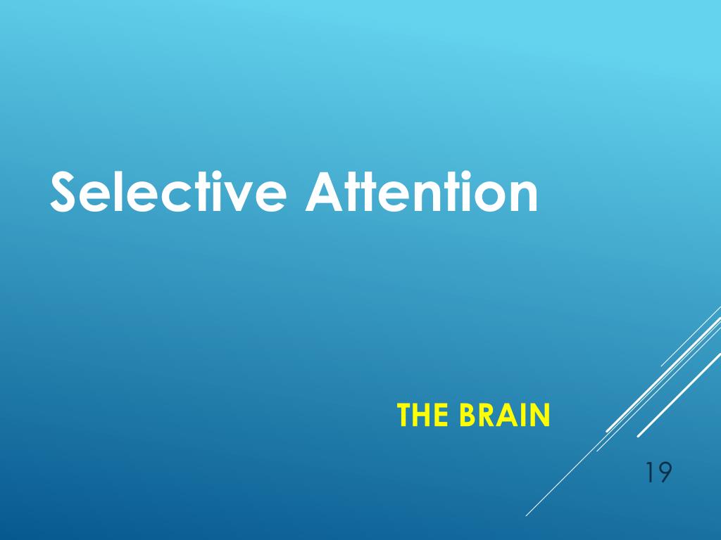 PPT - ANXIETY AND DEPRESSION Thinking SEEDS feeling SEEDS doing SEEDS ...