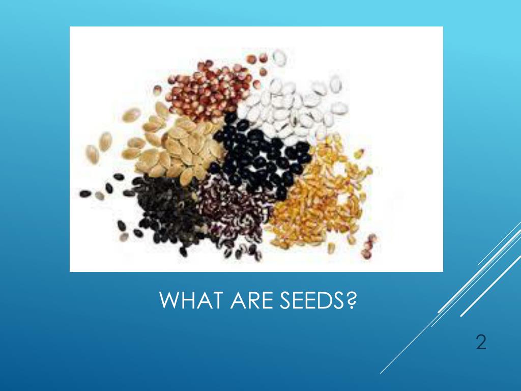 PPT - ANXIETY AND DEPRESSION Thinking SEEDS feeling SEEDS doing SEEDS ...