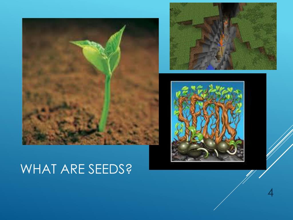 PPT - ANXIETY AND DEPRESSION Thinking SEEDS feeling SEEDS doing SEEDS ...