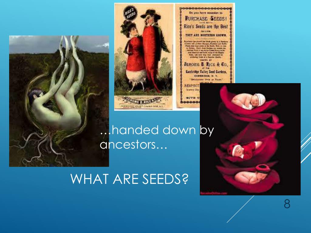 PPT - ANXIETY AND DEPRESSION Thinking SEEDS feeling SEEDS doing SEEDS ...