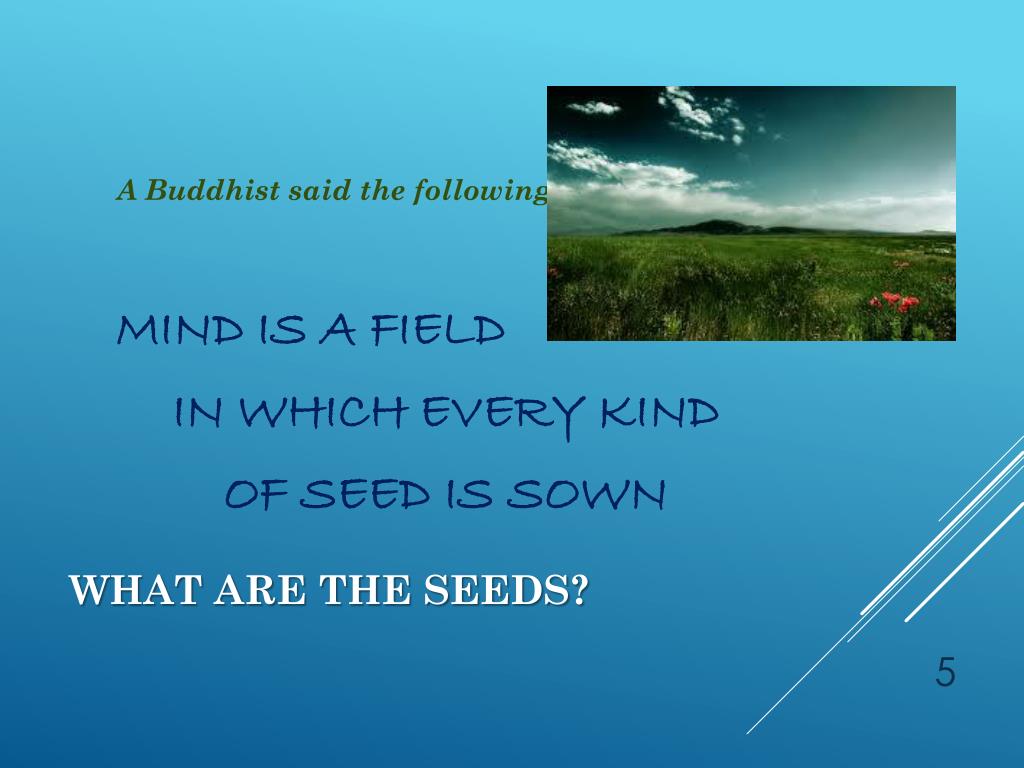 PPT - ANXIETY AND DEPRESSION Thinking SEEDS feeling SEEDS doing SEEDS ...