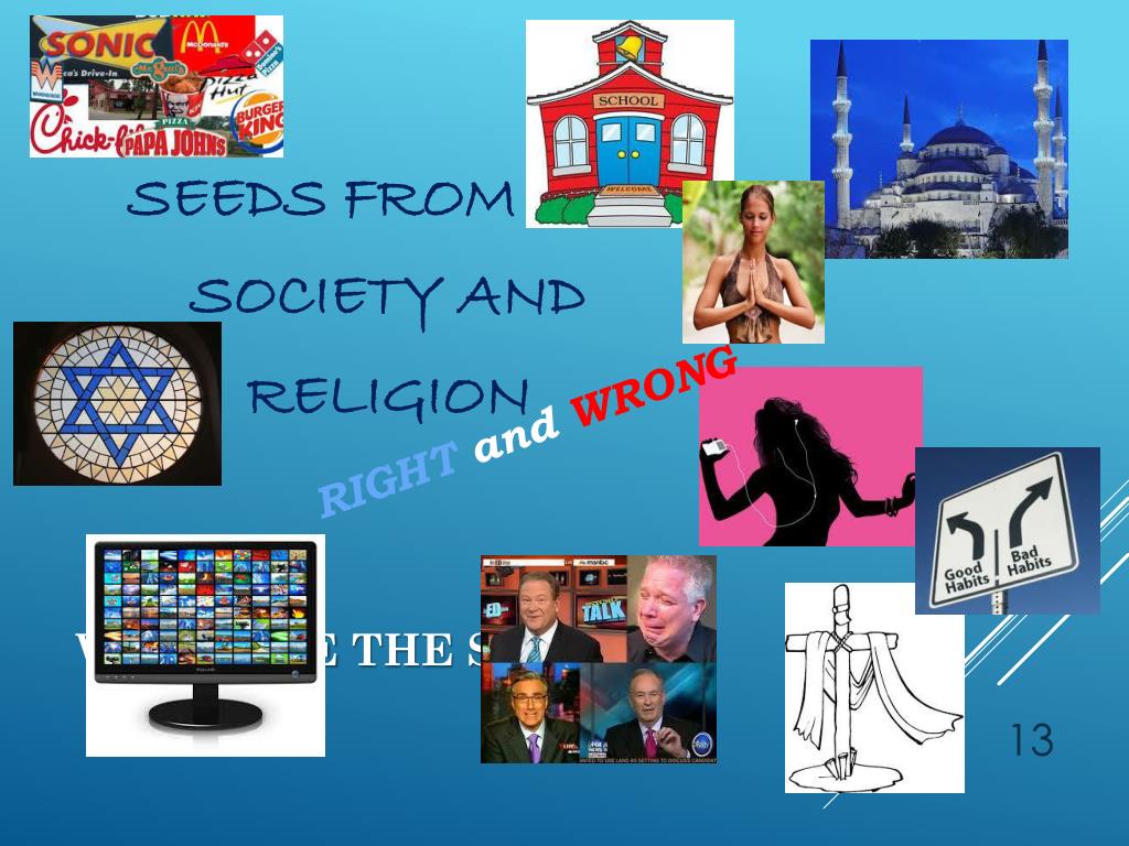 PPT - ANXIETY AND DEPRESSION Thinking SEEDS feeling SEEDS doing SEEDS ...