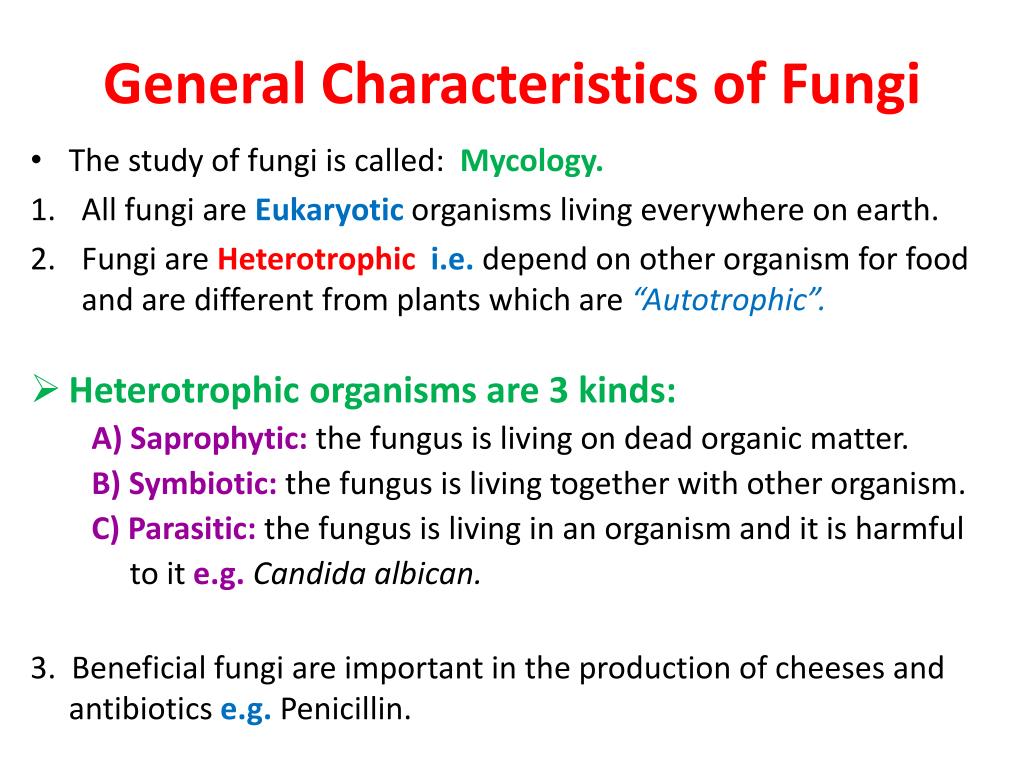 Describe The General Characteristics Of Fungi Heath Has Miller