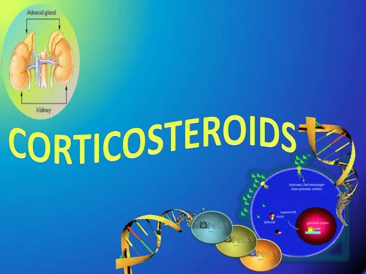 PPT - CORTICOSTEROIDS PowerPoint Presentation, free download - ID:2225467
