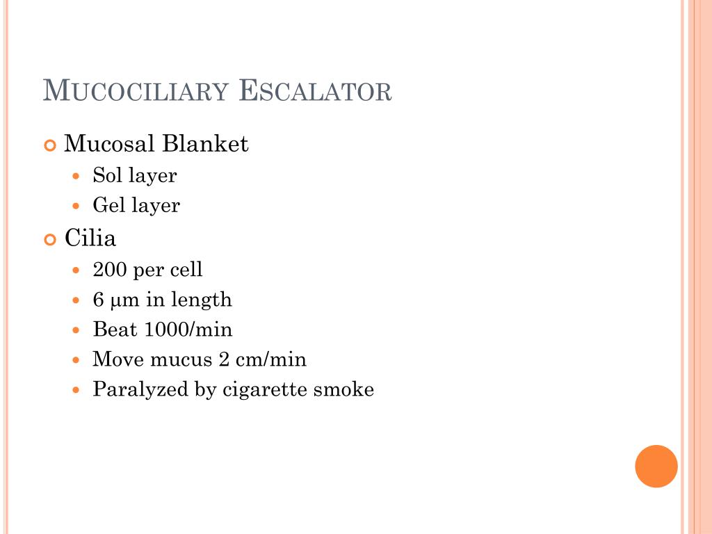 PPT - Respiratory Pharmacology Week 5 Anticholinergics and Mucolytics ...
