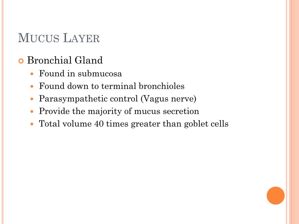 PPT - Respiratory Pharmacology Week 5 Anticholinergics and Mucolytics ...