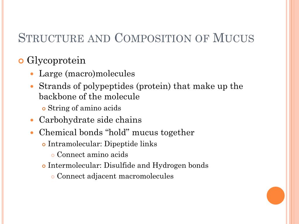 PPT - Respiratory Pharmacology Week 5 Anticholinergics and Mucolytics ...