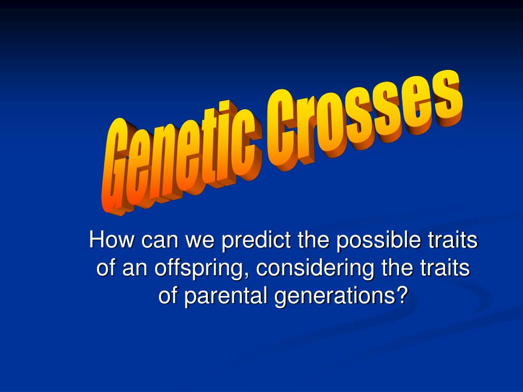 Ppt Genetic Crosses Powerpoint Presentation Free Download Id 2225630
