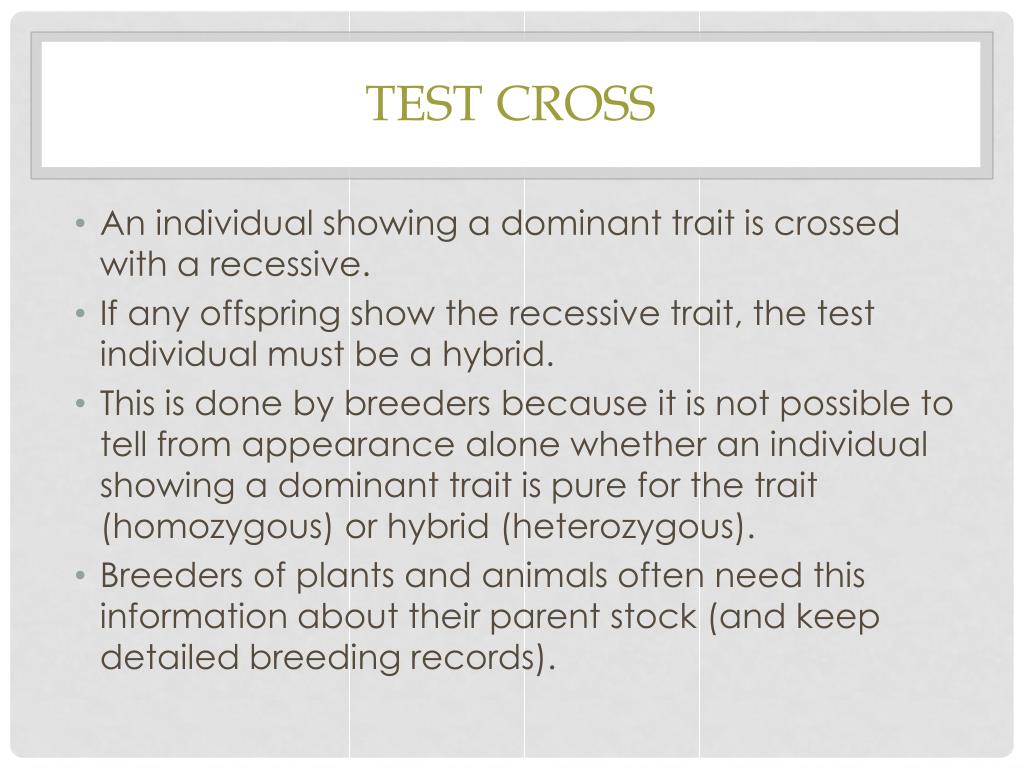 PPT - Dihybrid Crosses and Blood Typing PowerPoint Presentation, free ...