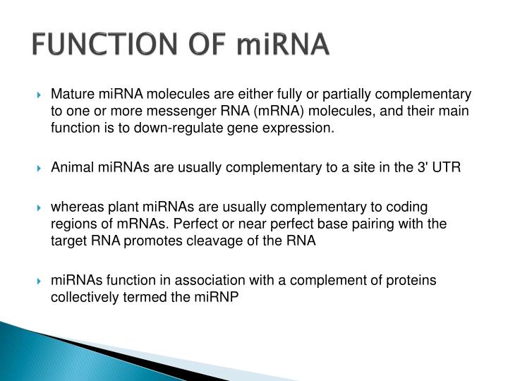PPT - MicroRNA PowerPoint Presentation - ID:2226612