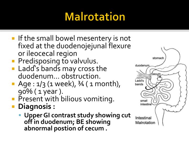 Ppt Approach To Common Pediatric Surgical Problems Powerpoint
