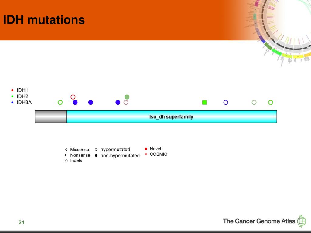 PPT - Stan Hamilton, MD Head, Pathology and Laboratory Medicine ...