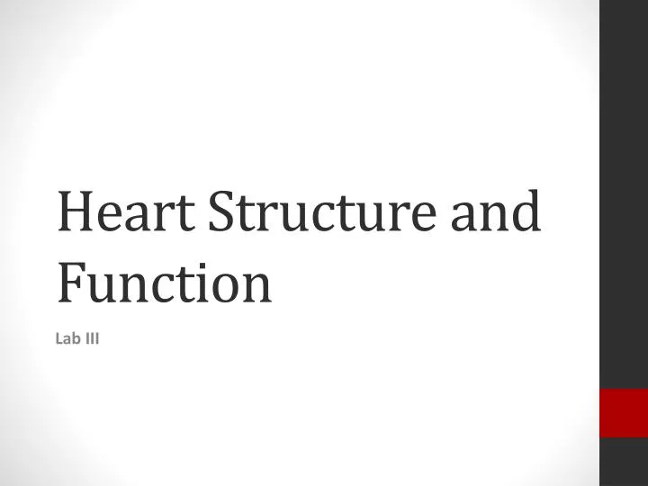 PPT - Heart Structure and Function PowerPoint Presentation, free ...