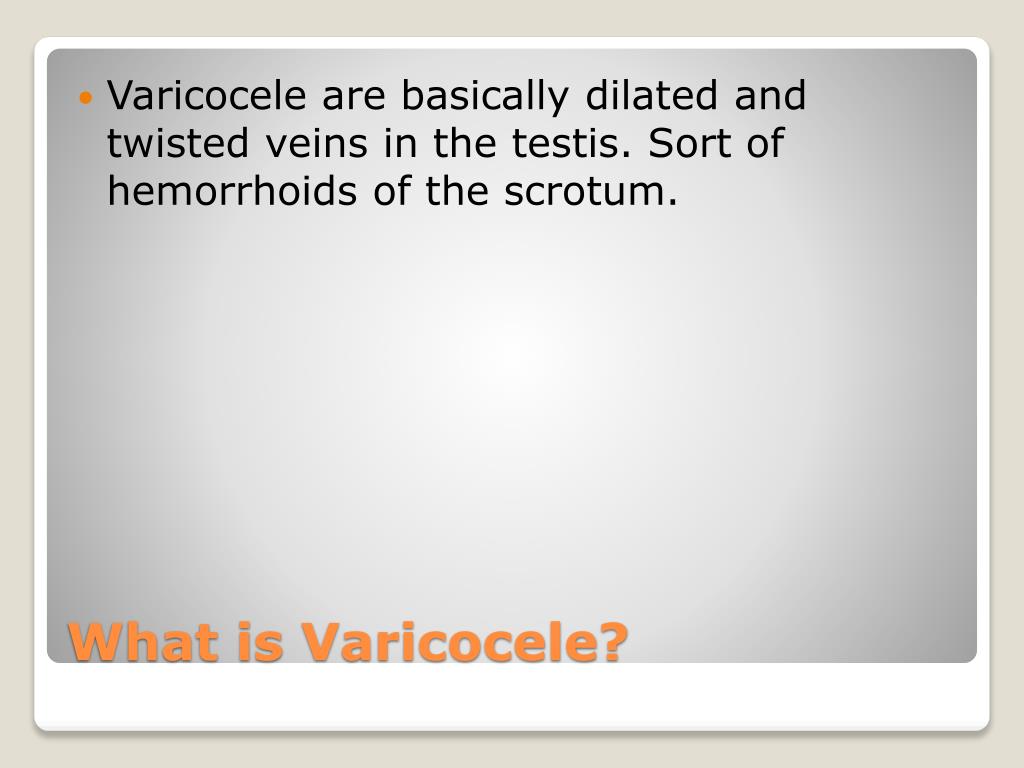 PPT - Varicocele (Male Reproductive System Disease) PowerPoint ...