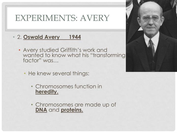 PPT - DNA PowerPoint Presentation - ID:2228063