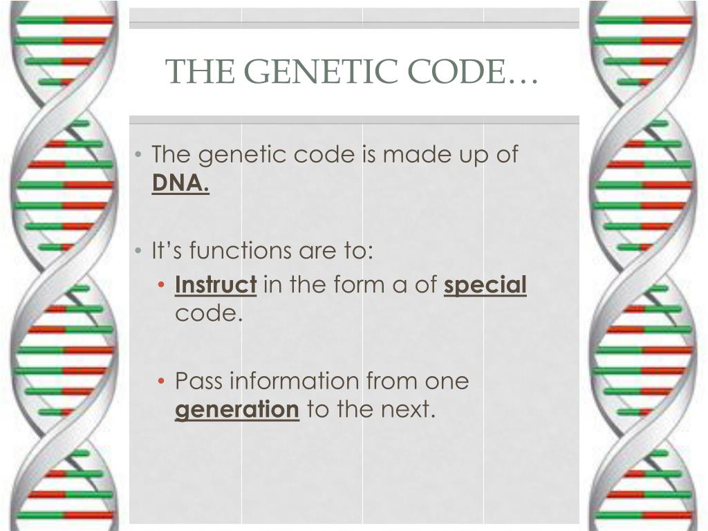 Ppt Genomic Equivalence Powerpoint Presentation Free Download Id C38 Ppt Genomic Equivalence Powerpoint Presentation Free Download Id C38