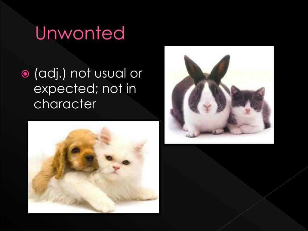 PPT - Sadlier-Oxford Vocabulary Level G – Unit 3 PowerPoint ...