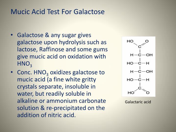 PPT - Lab 4: Polysaccharides PowerPoint Presentation - ID:2228441