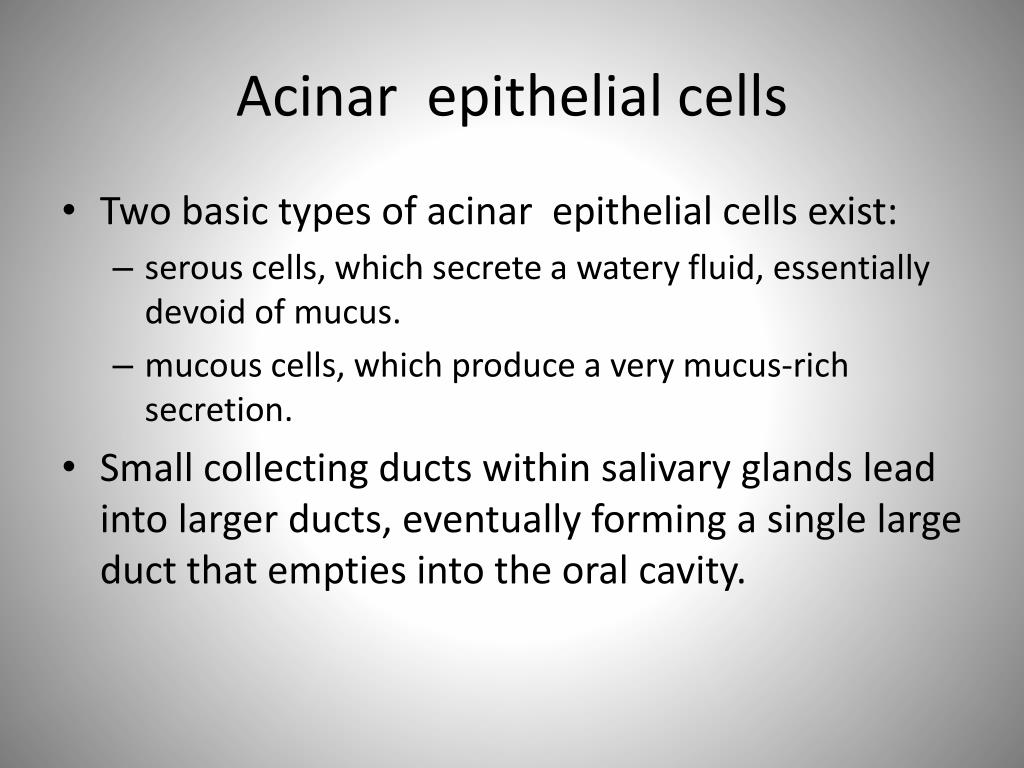 PPT - Salivary Glands and Saliva PowerPoint Presentation, free download ...