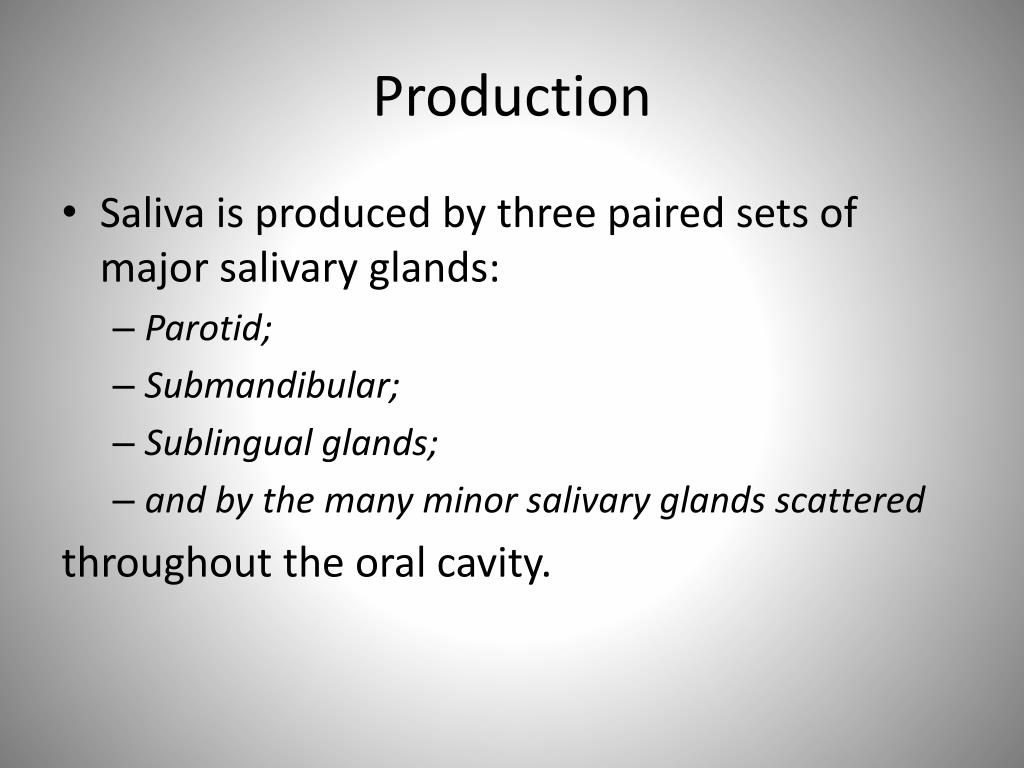 PPT - Salivary Glands and Saliva PowerPoint Presentation, free download ...