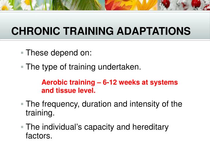 PPT - TRAINING ADAPTATIONS PowerPoint Presentation - ID:2229453