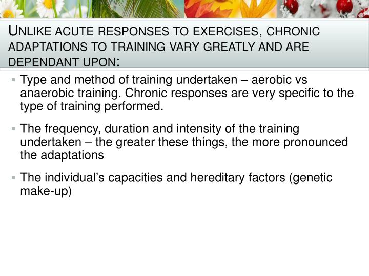 PPT - TRAINING ADAPTATIONS PowerPoint Presentation - ID:2229453