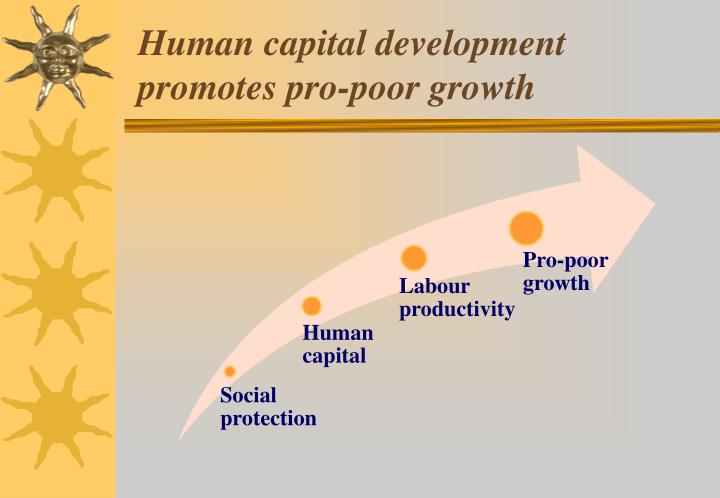 PPT - Developmental responses to the food price crisis: evidence on the ...
