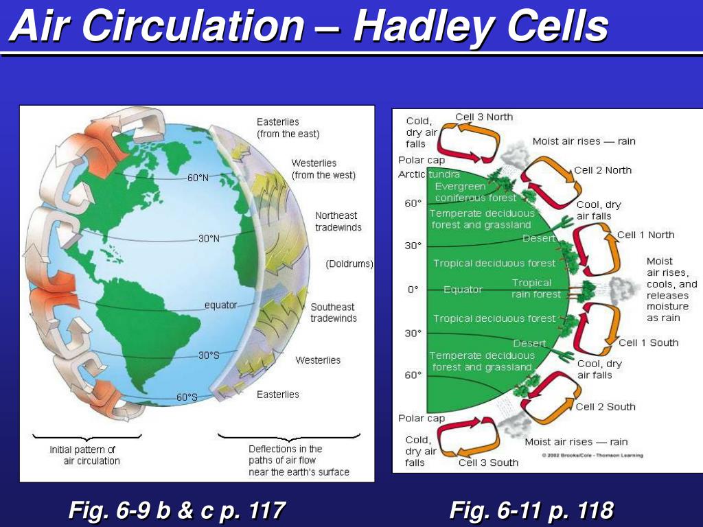PPT - Biogeography: Climate, Biomes, and Terrestrial Biodiversity ...