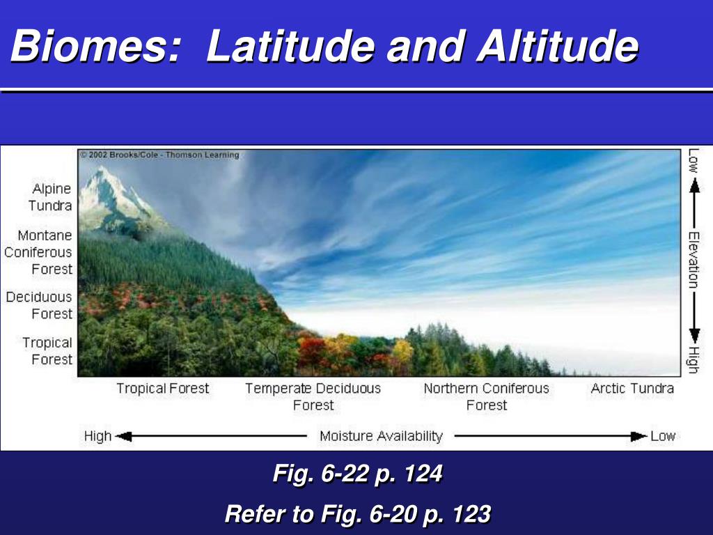 PPT - Biogeography: Climate, Biomes, and Terrestrial Biodiversity ...