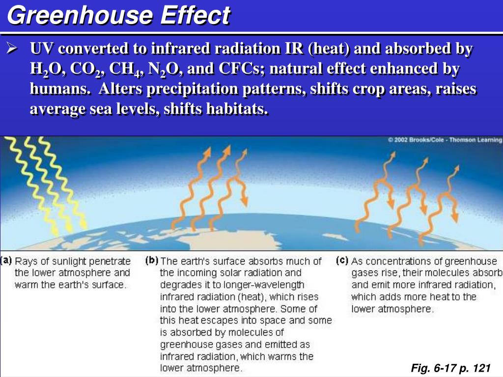 PPT - Biogeography: Climate, Biomes, and Terrestrial Biodiversity ...