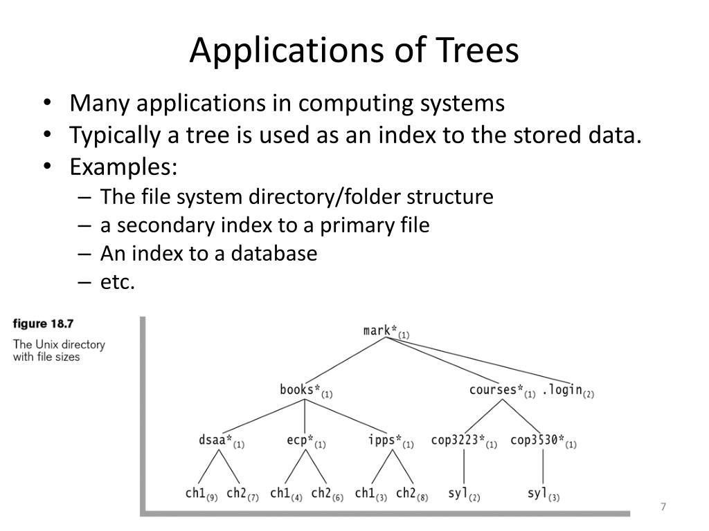 PPT - Chapter 18 - basic definitions - binary trees - tree traversals ... PPT - Chapter 18 - basic definitions - binary trees - tree traversals ...