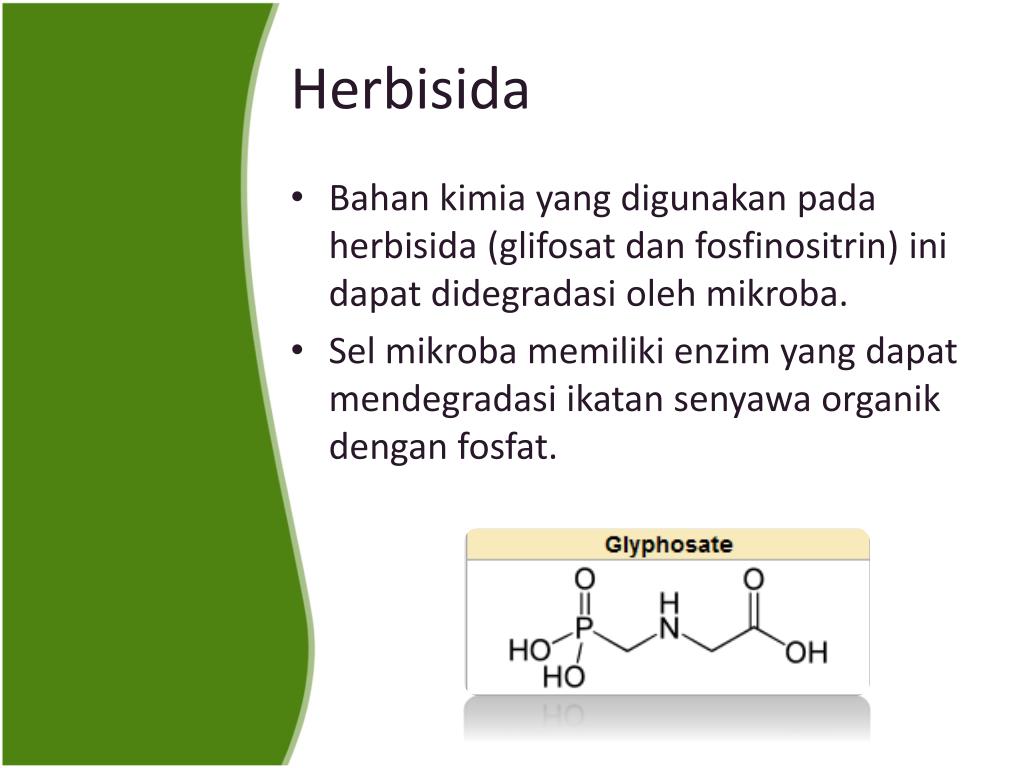 PPT - Pengotor Bahan Pangan Pestisida PowerPoint Presentation, free ...