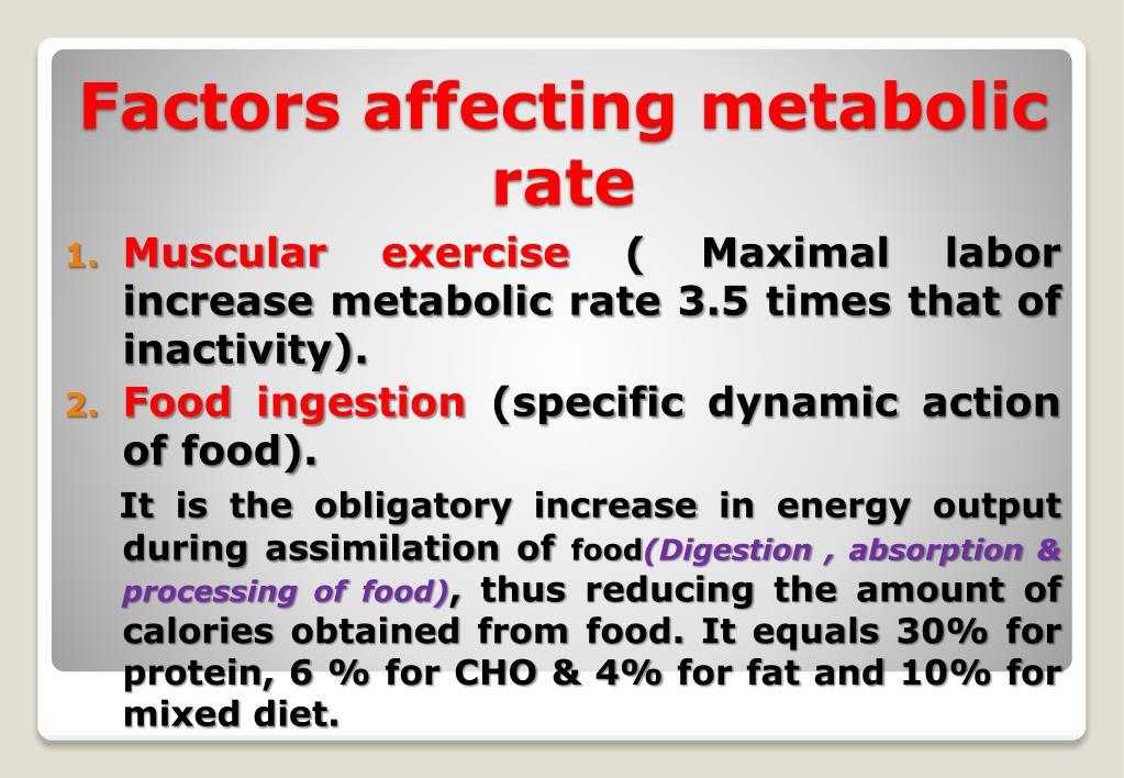PPT - Energy Balance & Metabolism PowerPoint Presentation, free ...