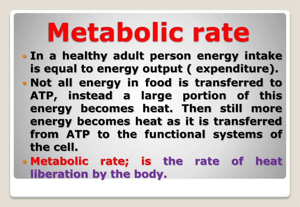 PPT - Energy Balance & Metabolism PowerPoint Presentation, free ...
