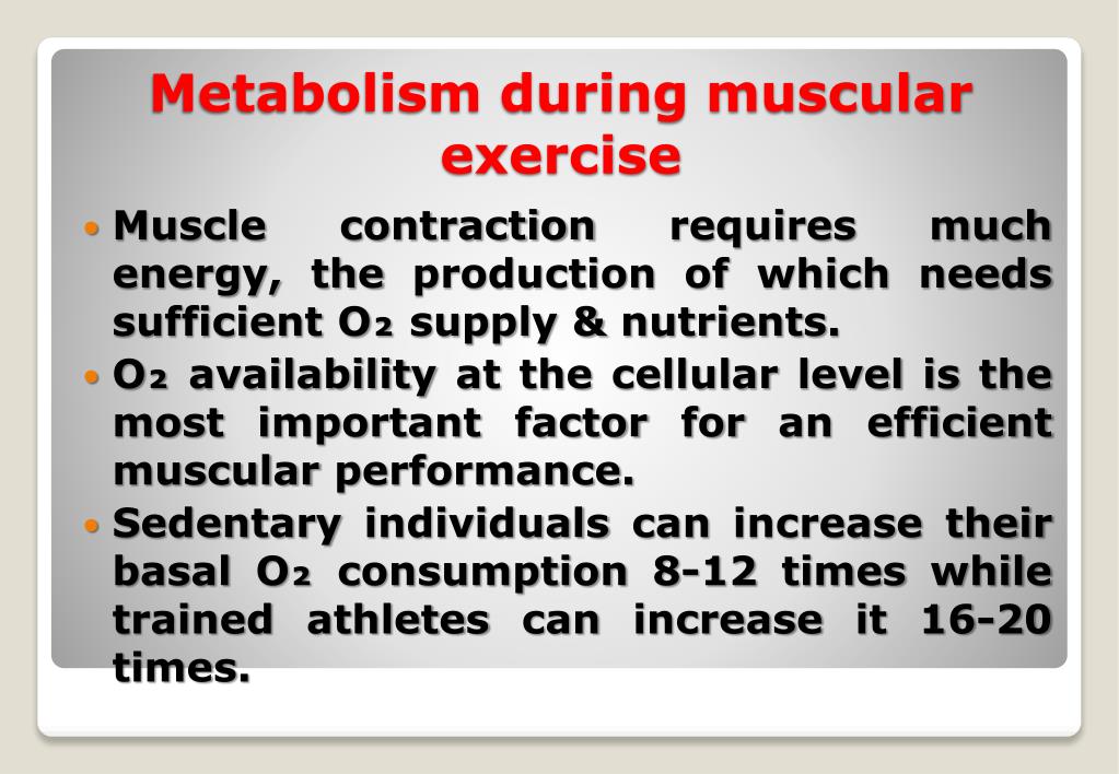 PPT - Energy Balance & Metabolism PowerPoint Presentation, free ...